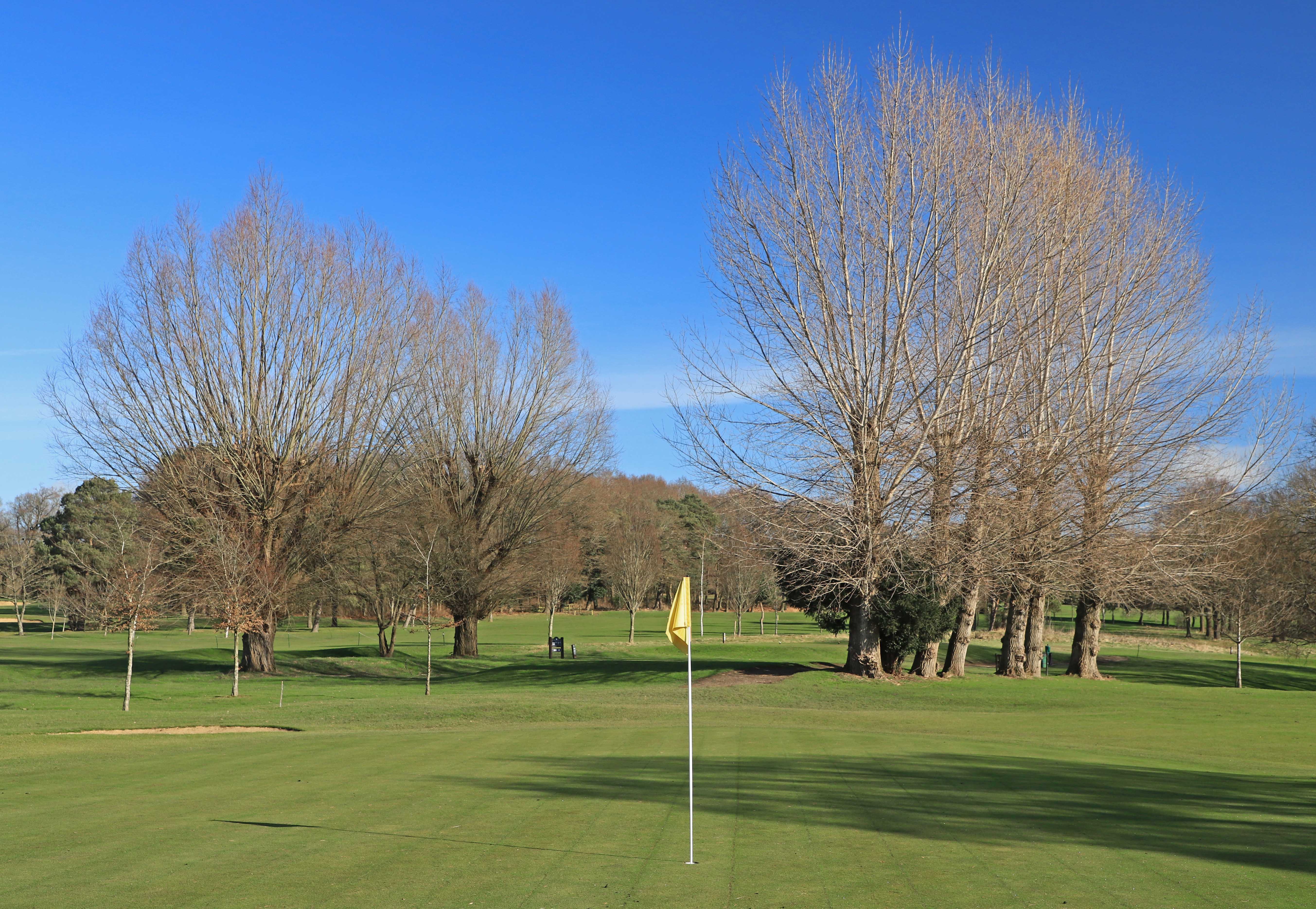 Brookmans Park Golf Club - Trees
